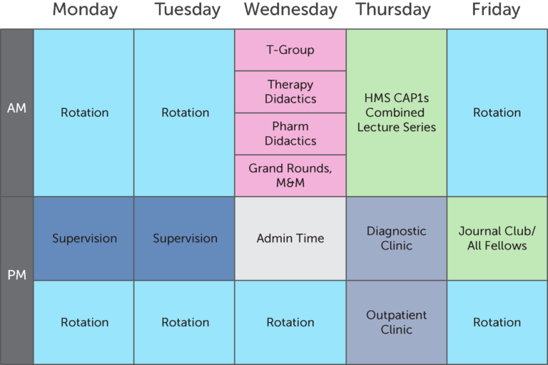 Psychiatry Fellowship Training Program | Fellowship Structure – CEEI